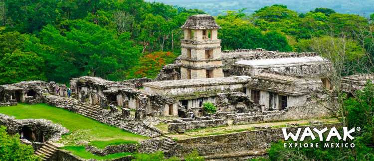 Palenque y Museo del Sitio