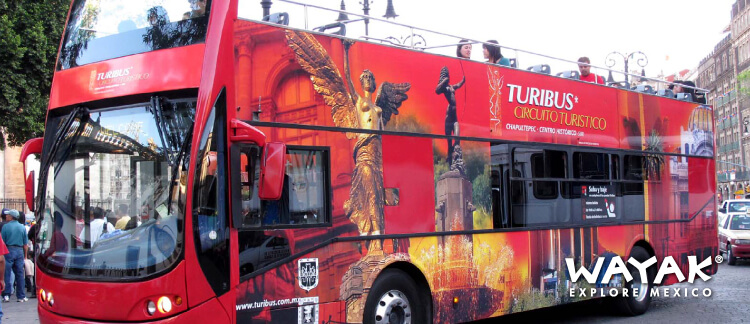 Bus tour in English to Mexico City's downtown with 16 stops