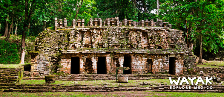 Yaxchilan and Bonampak Tour